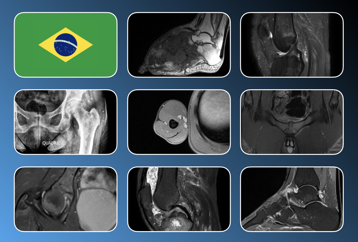 Online Academy | BerlinCaseViewer